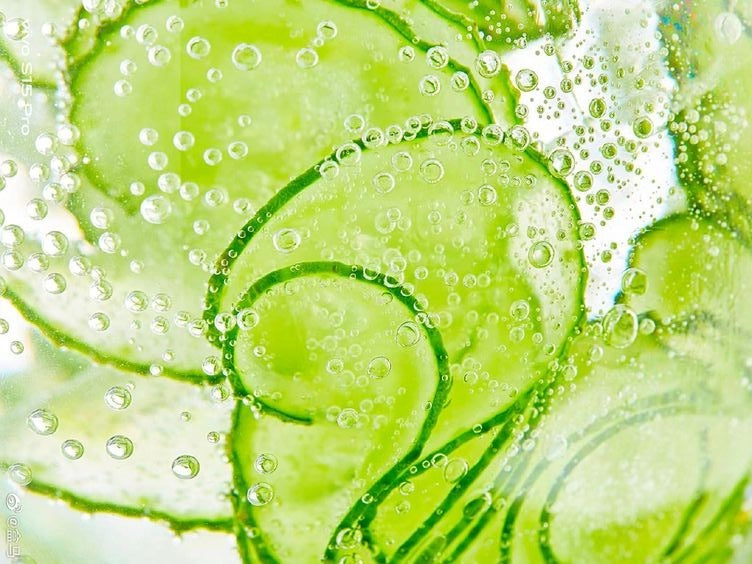 Fresh Notes – FOMO Perfumes